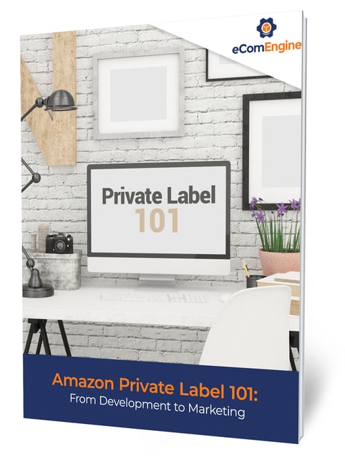 Amazon Private Label 101 - From Development to Marketing - eBook