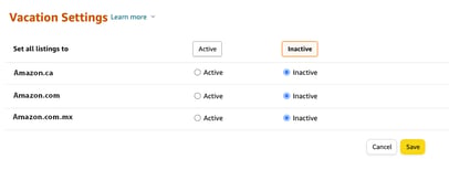 Amazon Vacation Settings: A Short Guide to Getting Away